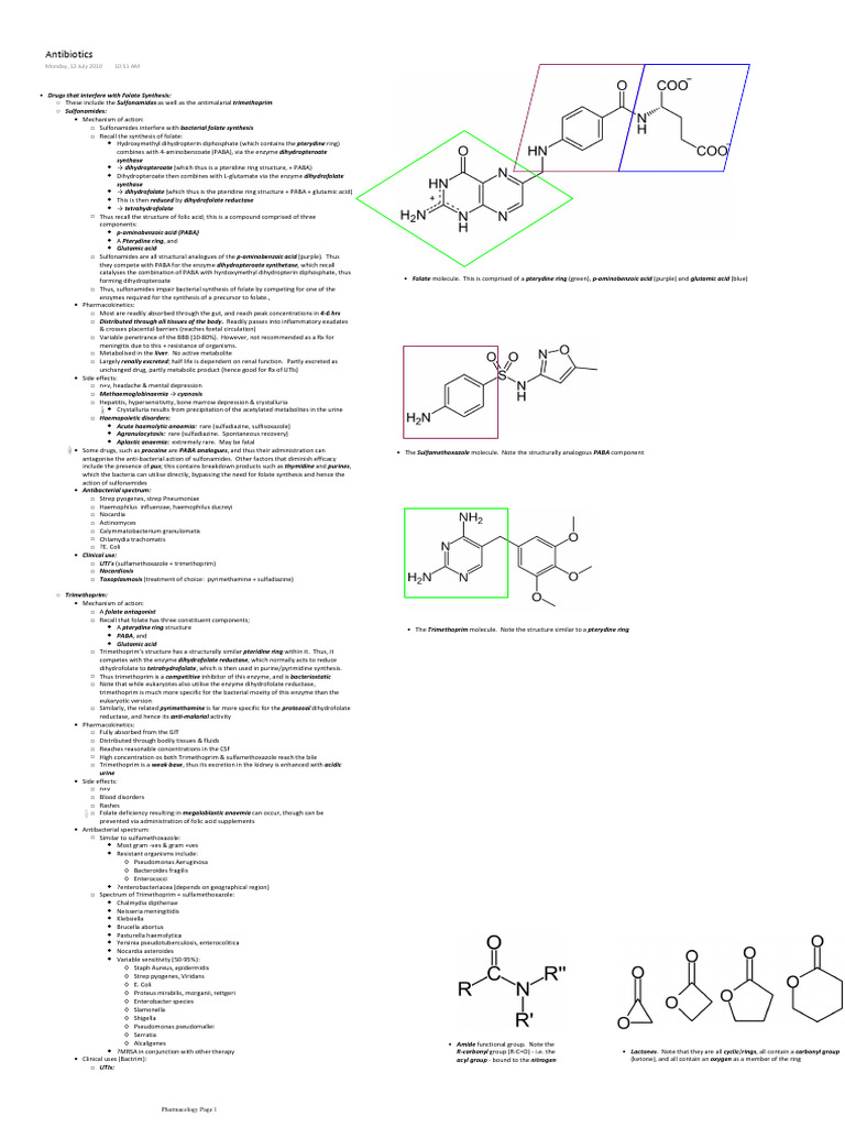 Antibiotic Study Notes | PDF