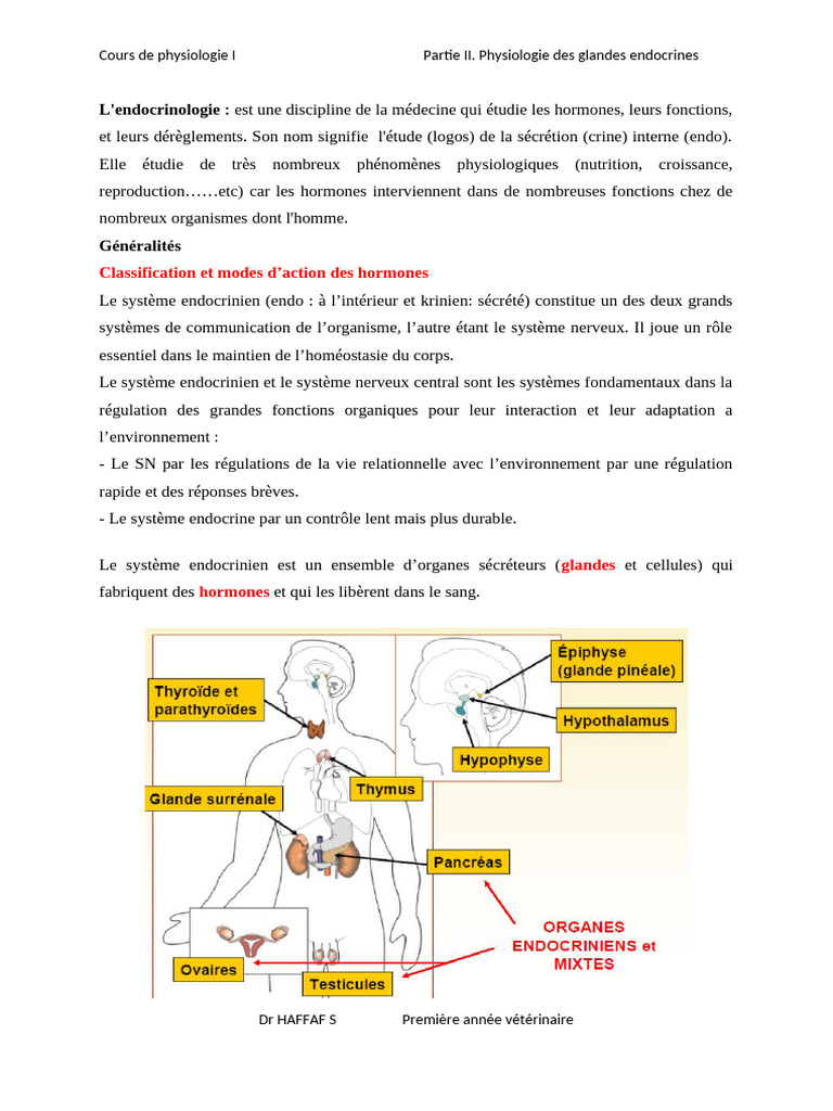 Physiologie Des Glandes Endocrines | PDF