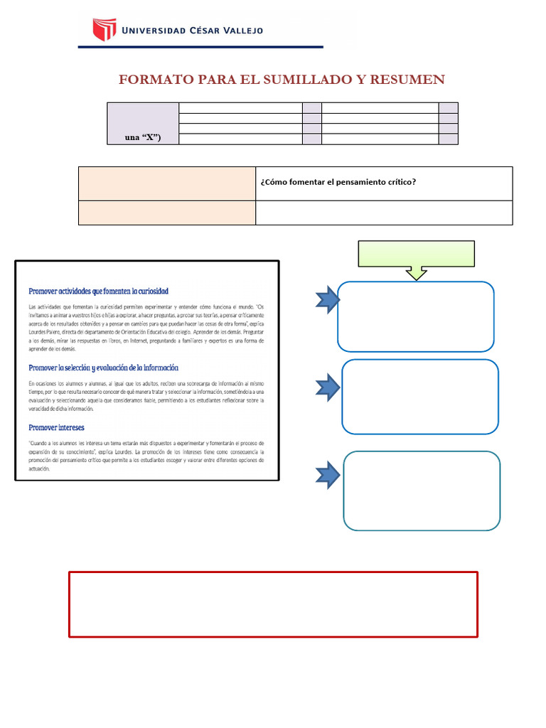 S03 Formato para Sumillado y Resumen | PDF