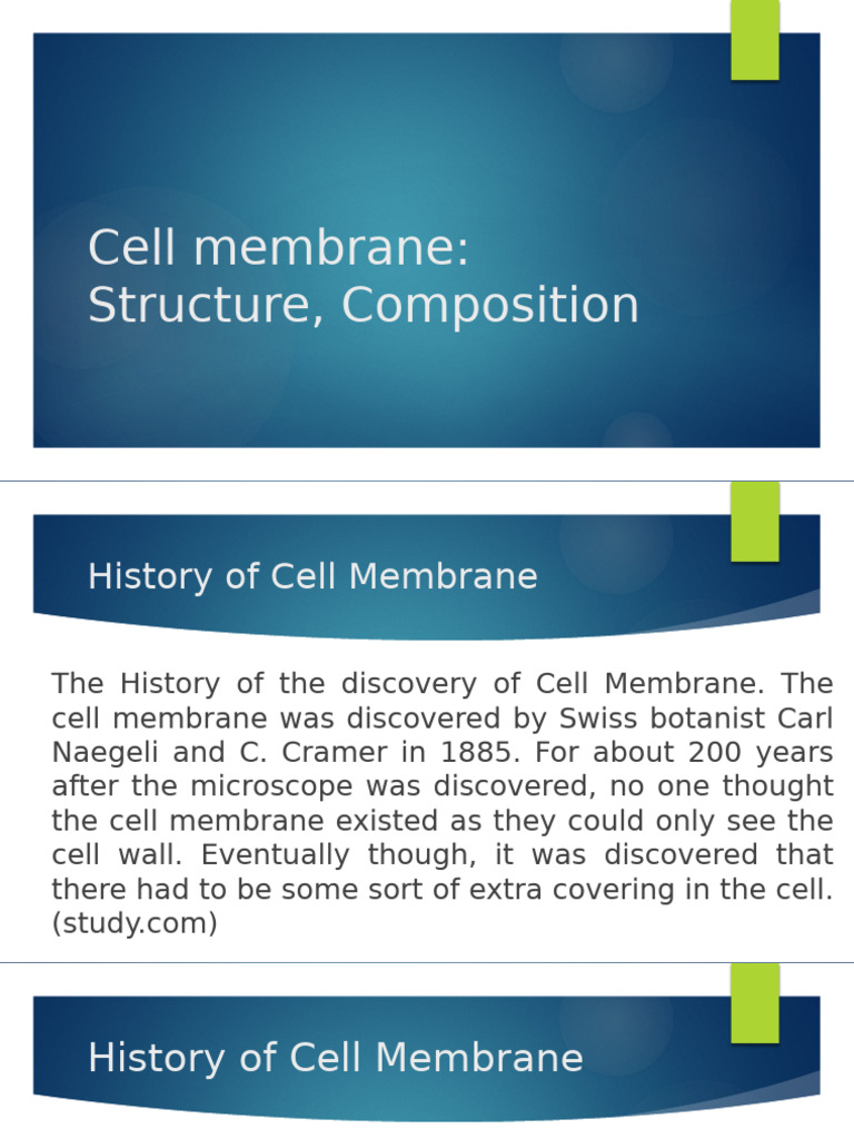Cell Membrane | PDF