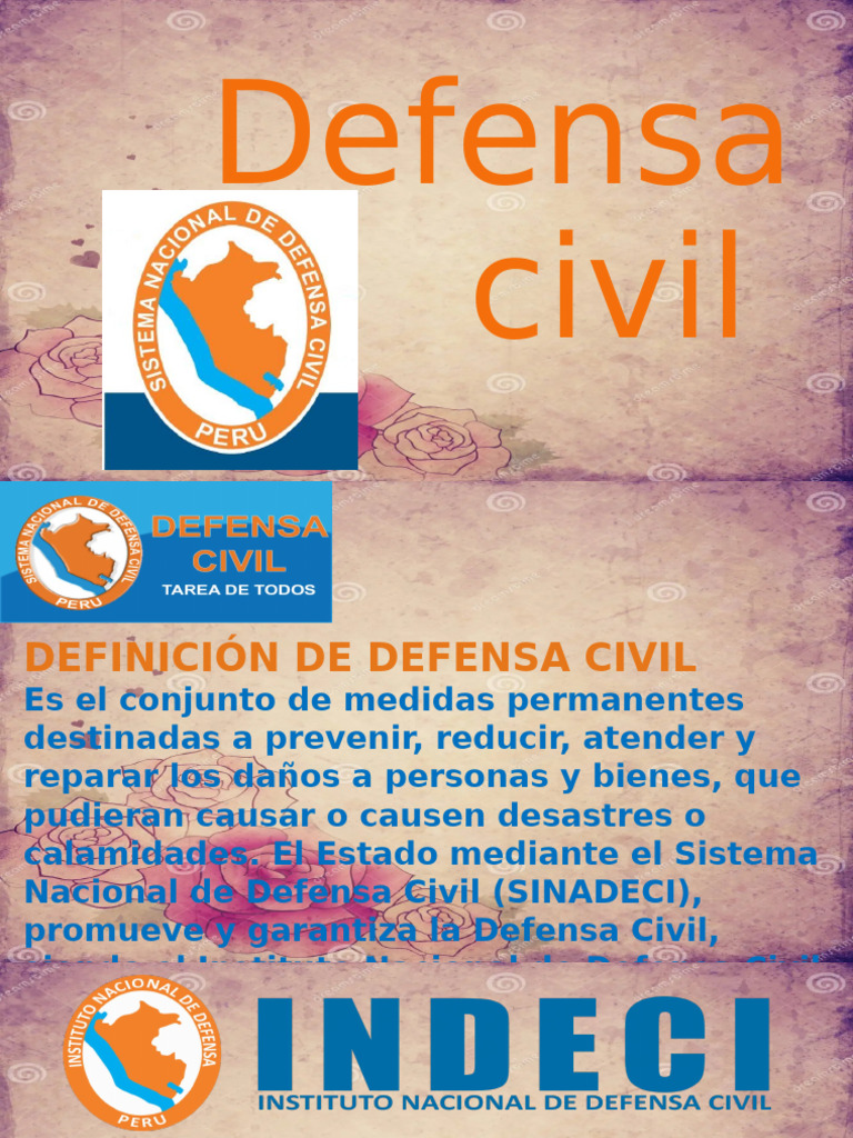 Defensa Civil Delia | PDF