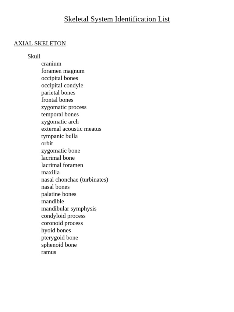 Skeletal System Identification List | PDF
