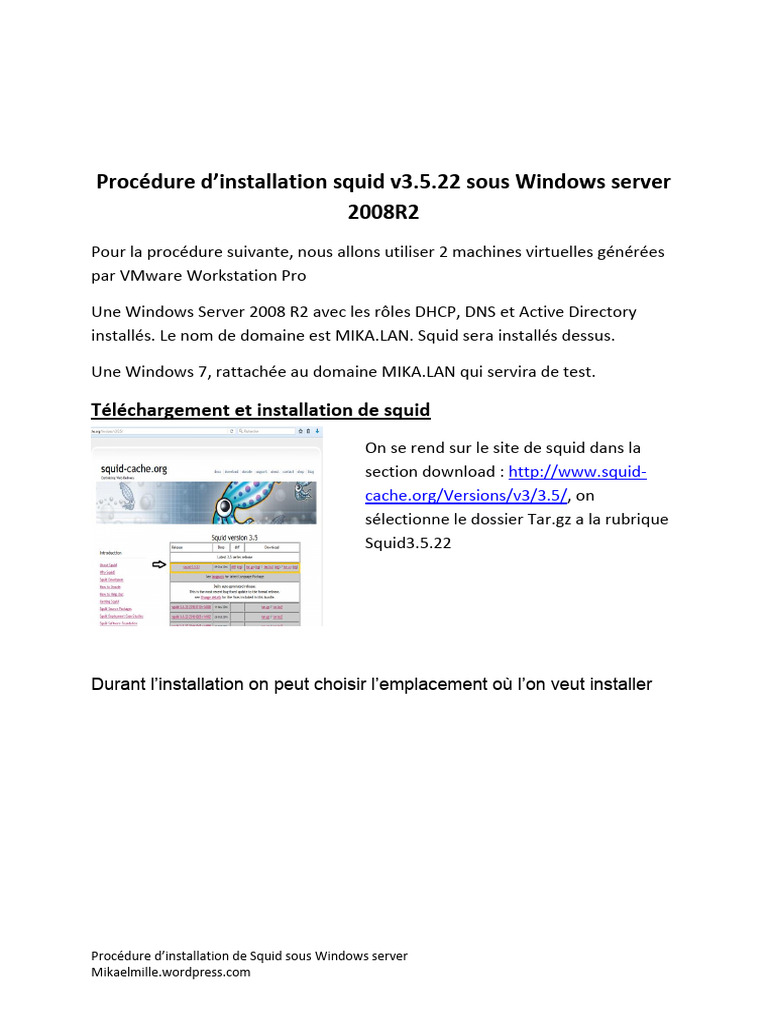 Procc3a9dure Squid | PDF