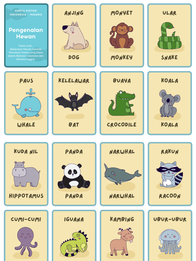 Flashcard Hewan Warna-Warni Cat Air 1 | PDF