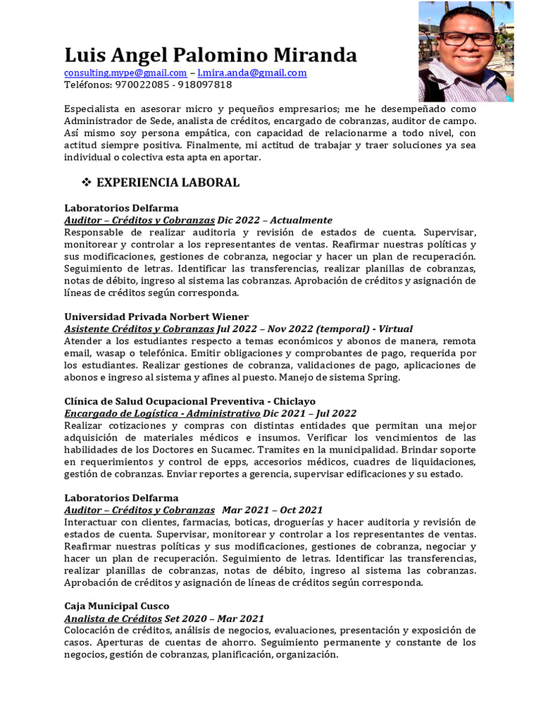 CV Luis Palomino 2024 | PDF