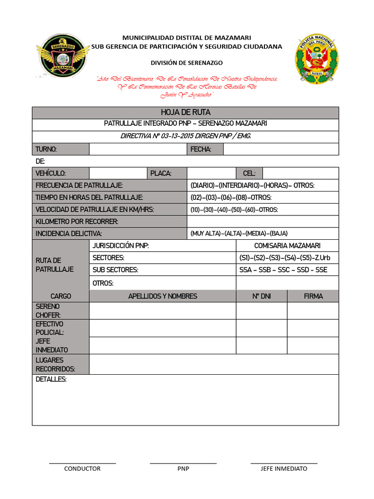 Hoja de Ruta PNP | PDF