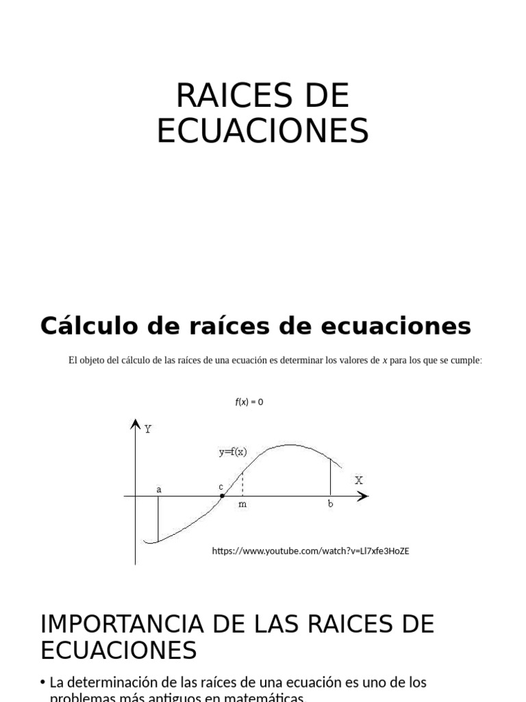 RAICES | PDF