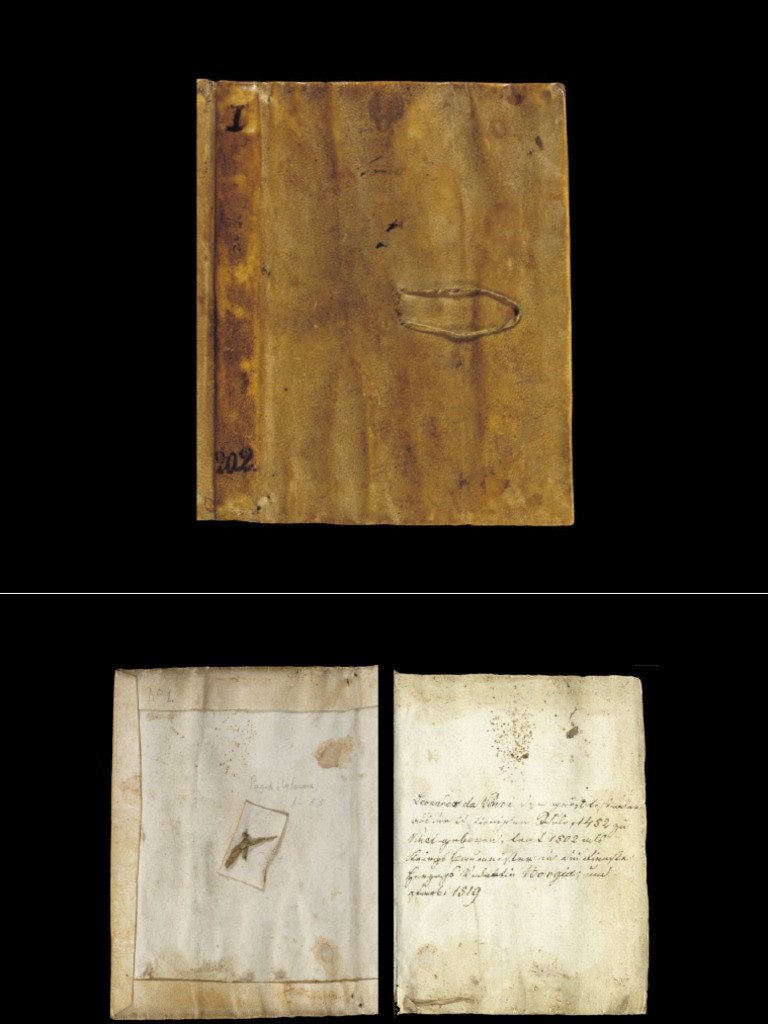 Codex Forster | PDF