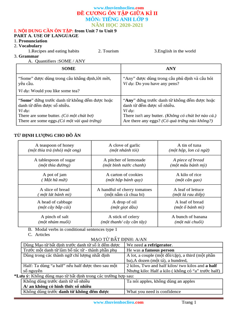 De Cuong On Tap Giua HK2 TIENG ANH 9 | PDF