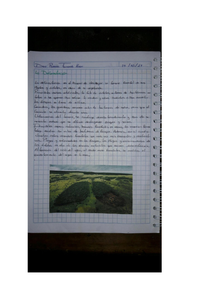 Comparto 'Documento (5) ' Contigo | PDF