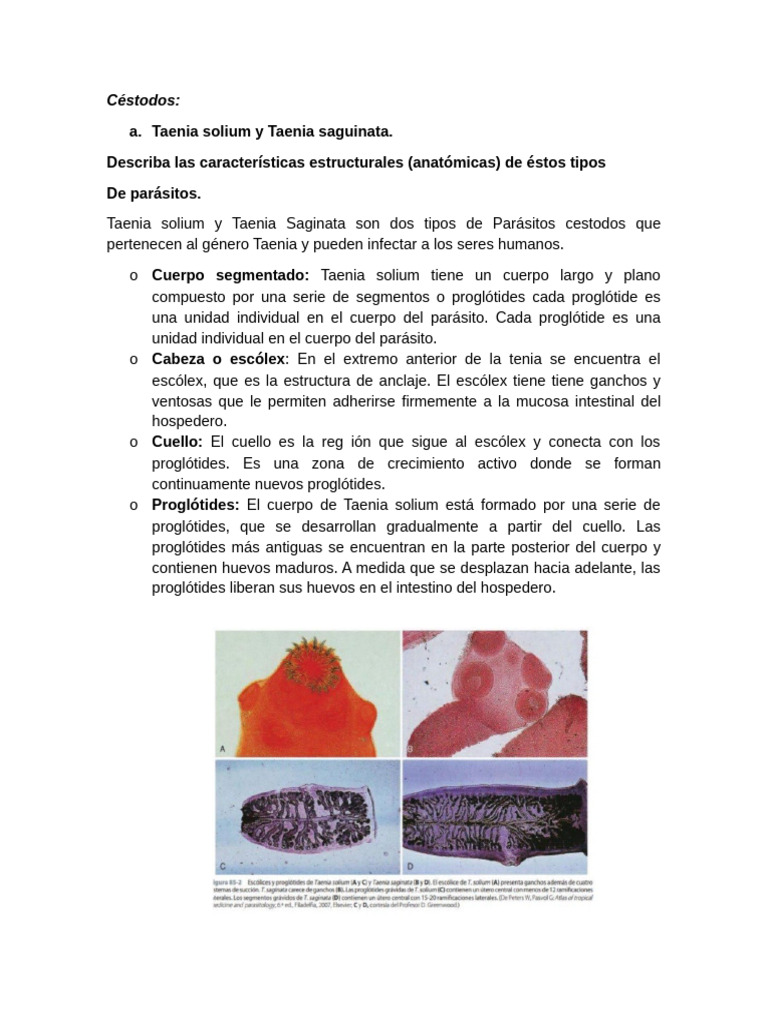 Ces Todos | PDF | Plasmodium | Bienestar