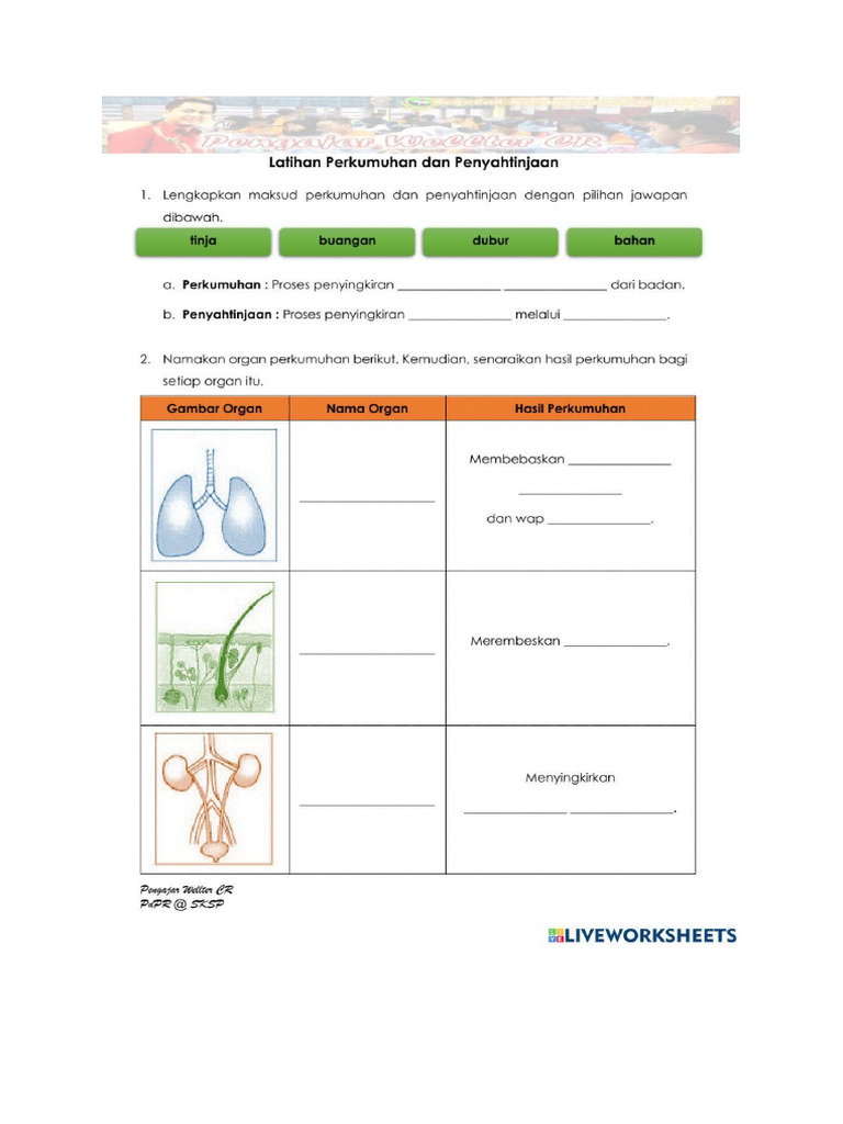 Sains Tahun 4 | PDF