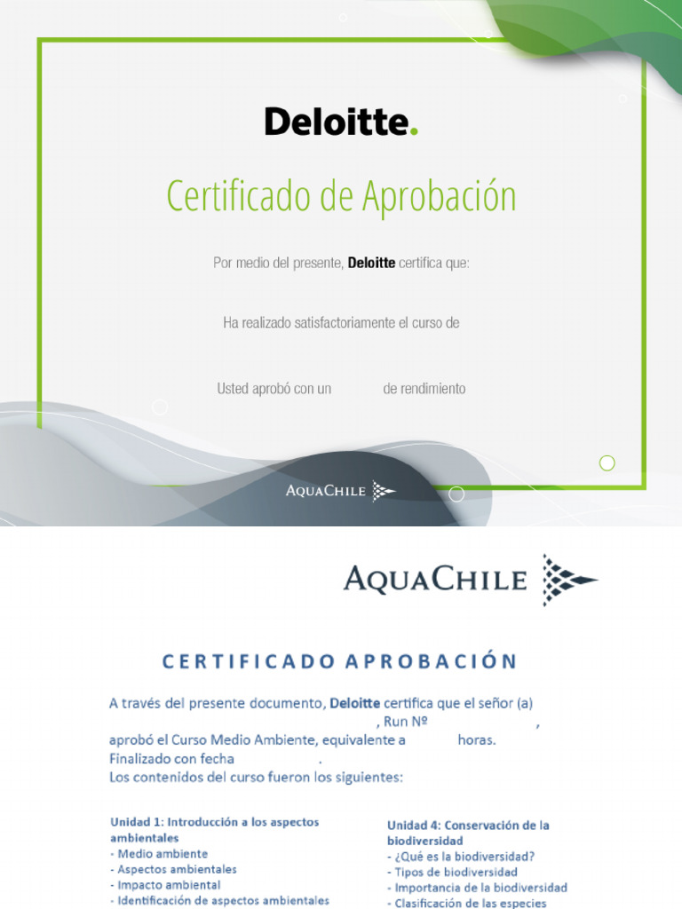 Certificado de Aprobacion | PDF
