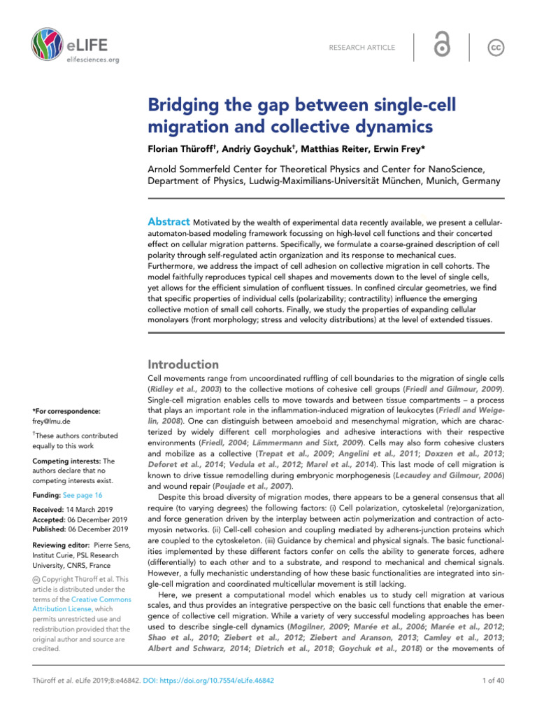 Bridging The Gap Between Single-Cell Migration and Collective Dynamics ...