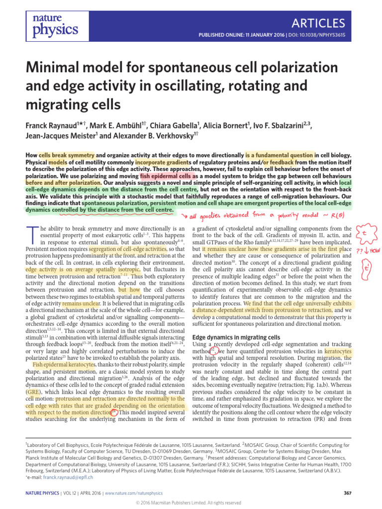 Minimal Model For Spontaneous Cell Polarization And Edge Activity In Oscillating Rotating And