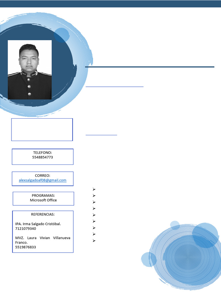 CV Ing. Alejandro Salgado | PDF