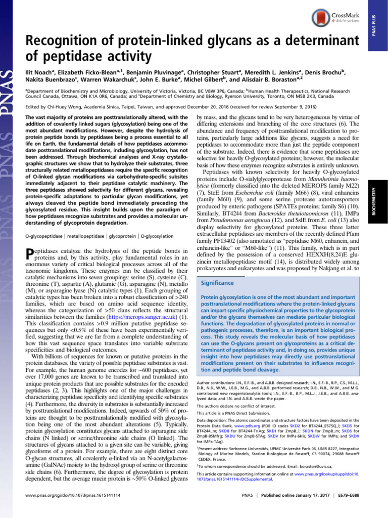 Recognition of Protein-Linked Glycans As A Determint of Peptidase ...
