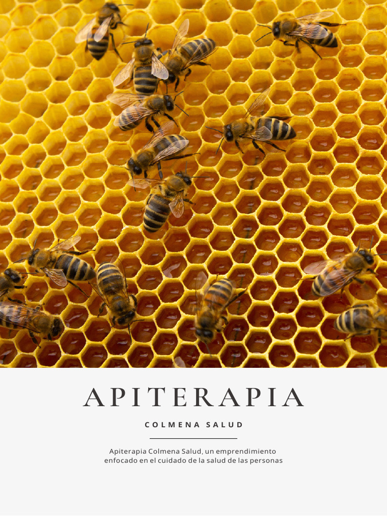 Apiterapia Colmena Salud | PDF