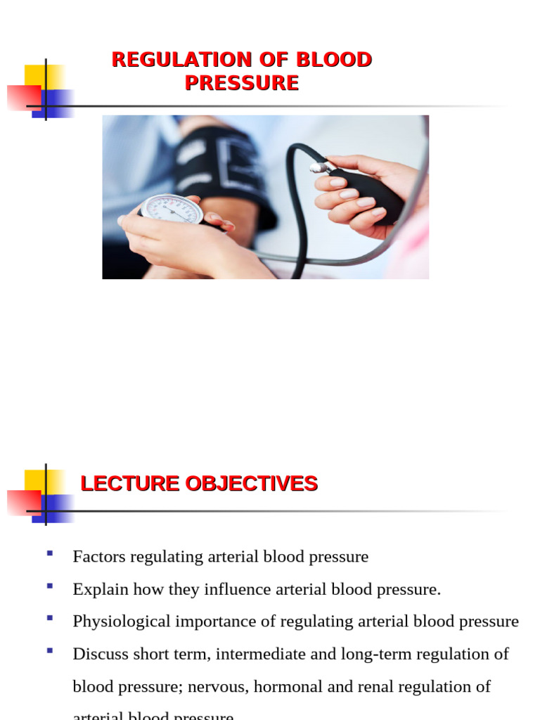 Arterial Blood Pressure Regulation | PDF