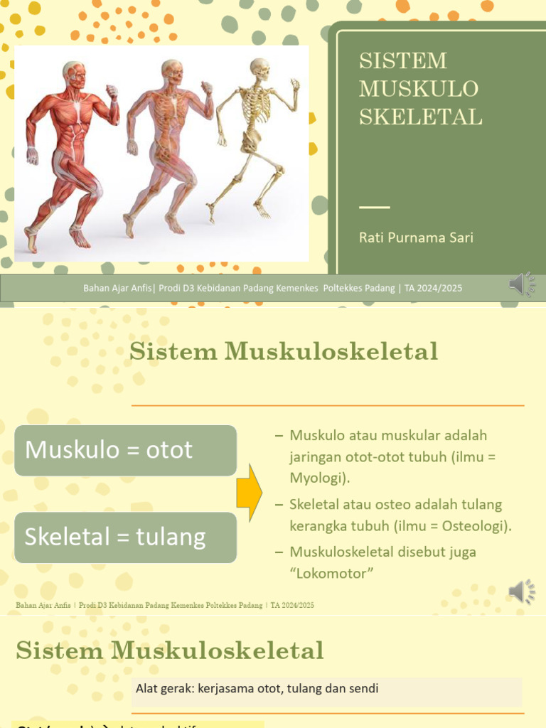 Anfis - Sistem Muskuloskeletal (Bag.1 Muskulo) PDF | PDF