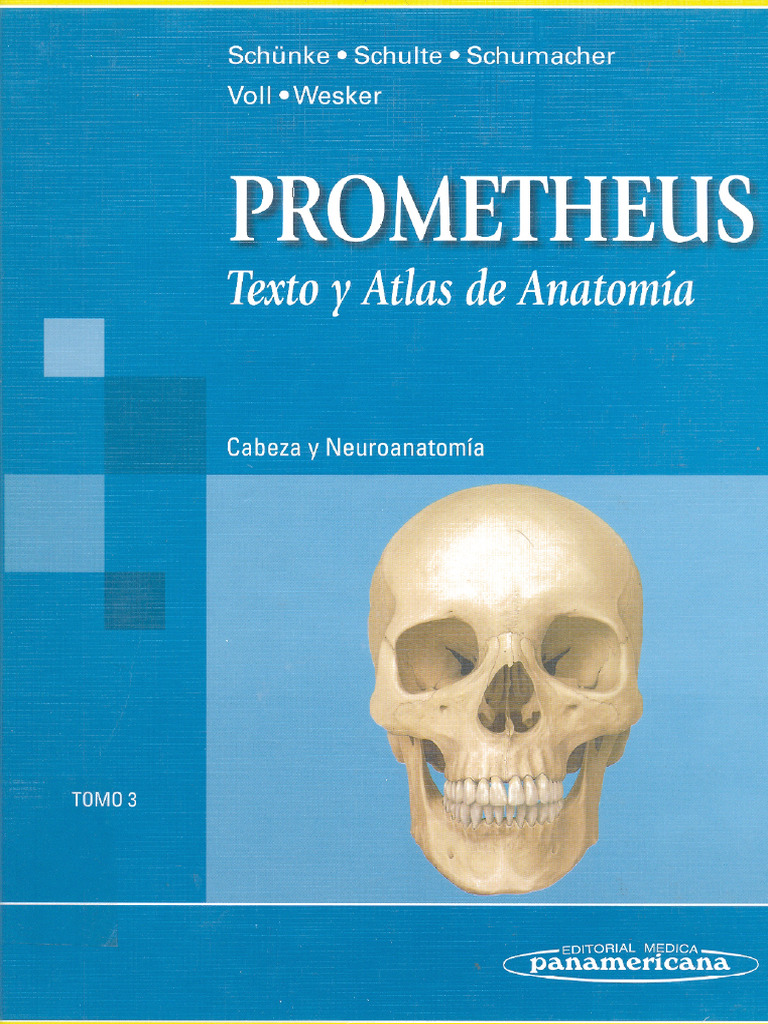 Atlas Prometheus Tomo 3 Cabeza y Neuroanatomía | PDF
