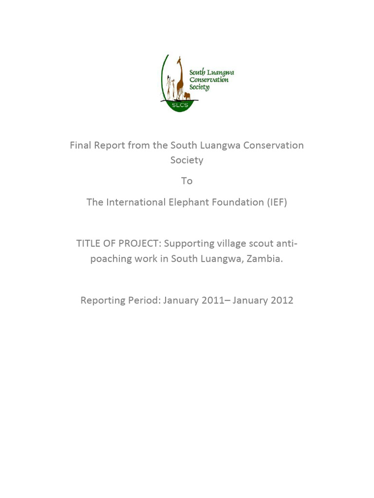 Final Report To IEF | PDF