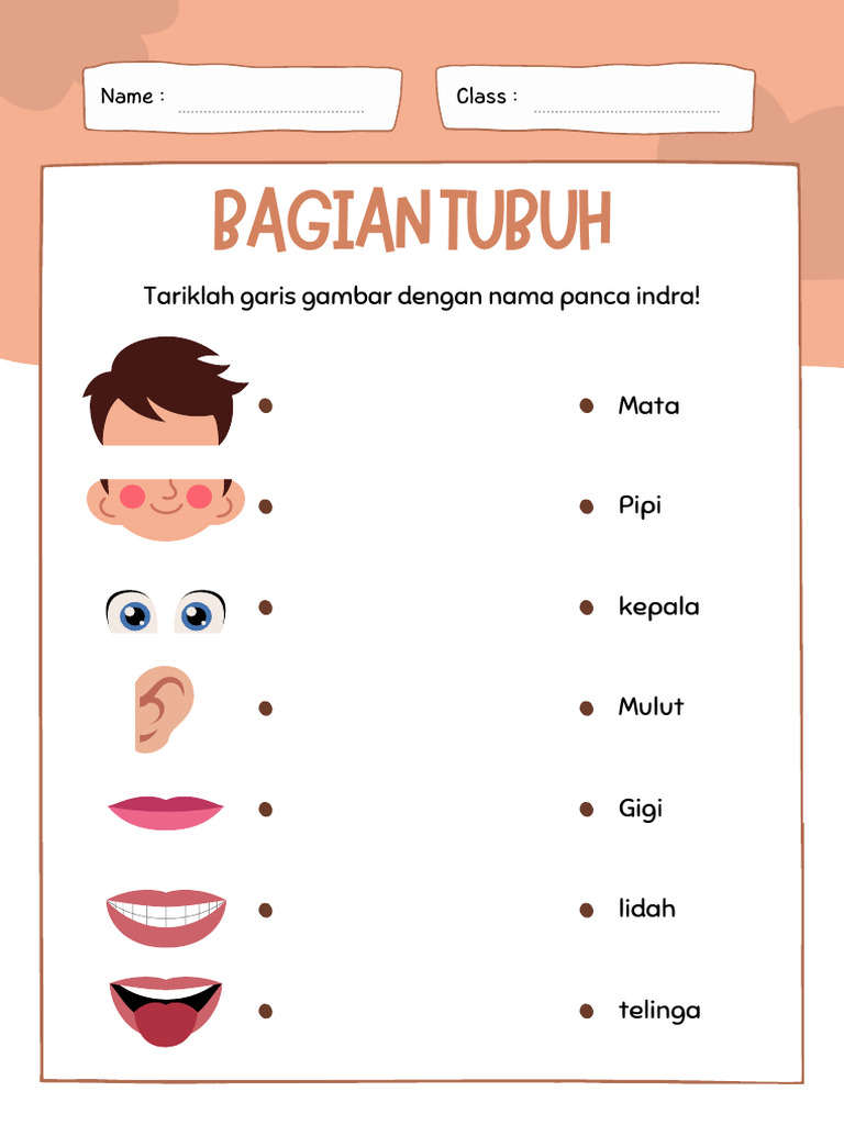 Soal Anggota Tubuh untuk Anak TK | PDF