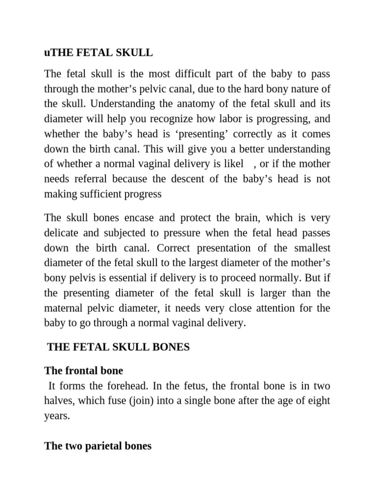 The Fetal Skull | PDF