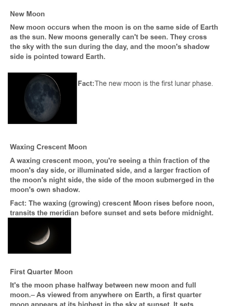 Moon Phases | PDF