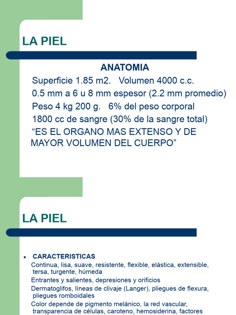 Primer Parcial Dermato | PDF