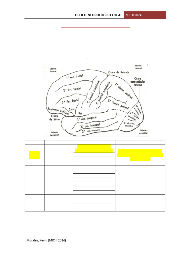 déficit neurológico focal resúmen | PDF