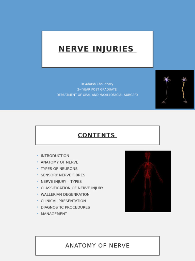 Nerve Injuries and Management | PDF