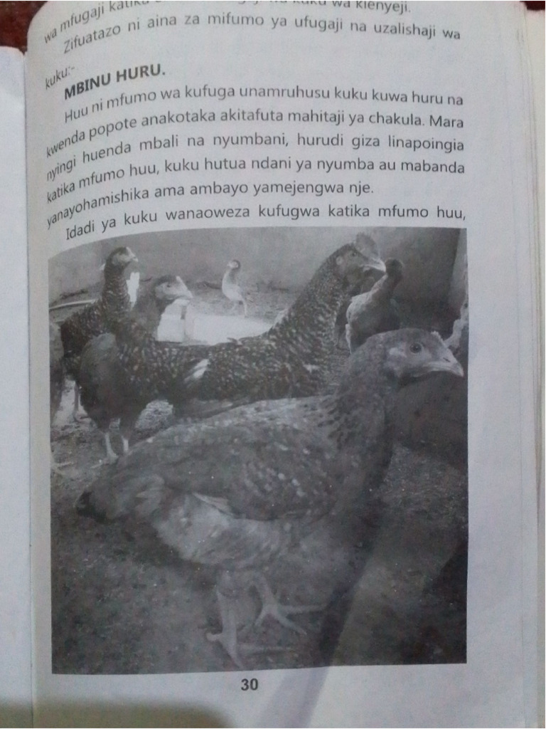 Scanned 20240929 081846 | PDF