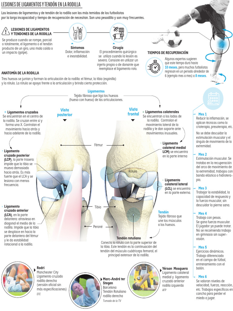 Lesiones de ligamentos en la rodilla | PDF | Rodilla | Anatomía del ...