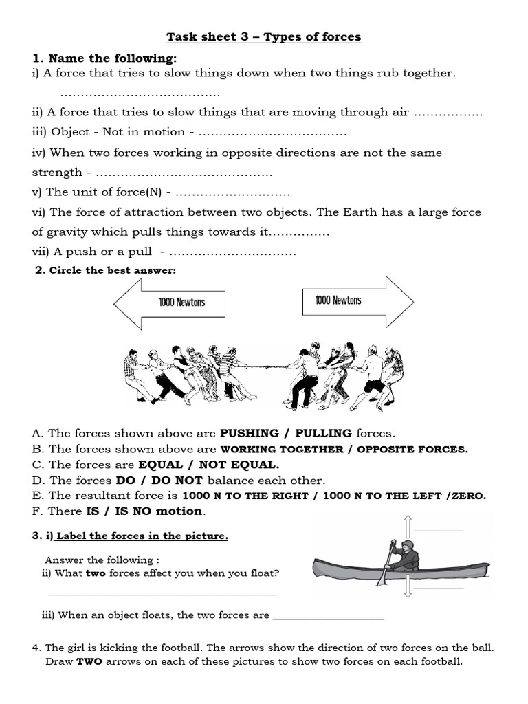 5 Tasksheet 3 Balanced & Unbalanced Forces | PDF