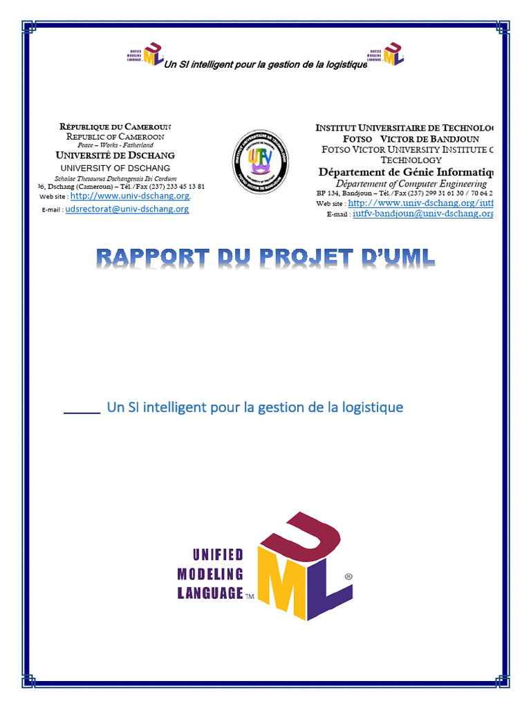 Manfouo Patrick Aime Isr Rapport | PDF