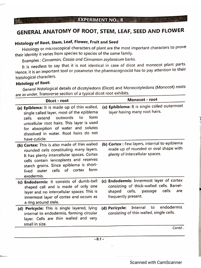 General Anatomy of Root, Stem, Leaf, Seed and Flower | PDF