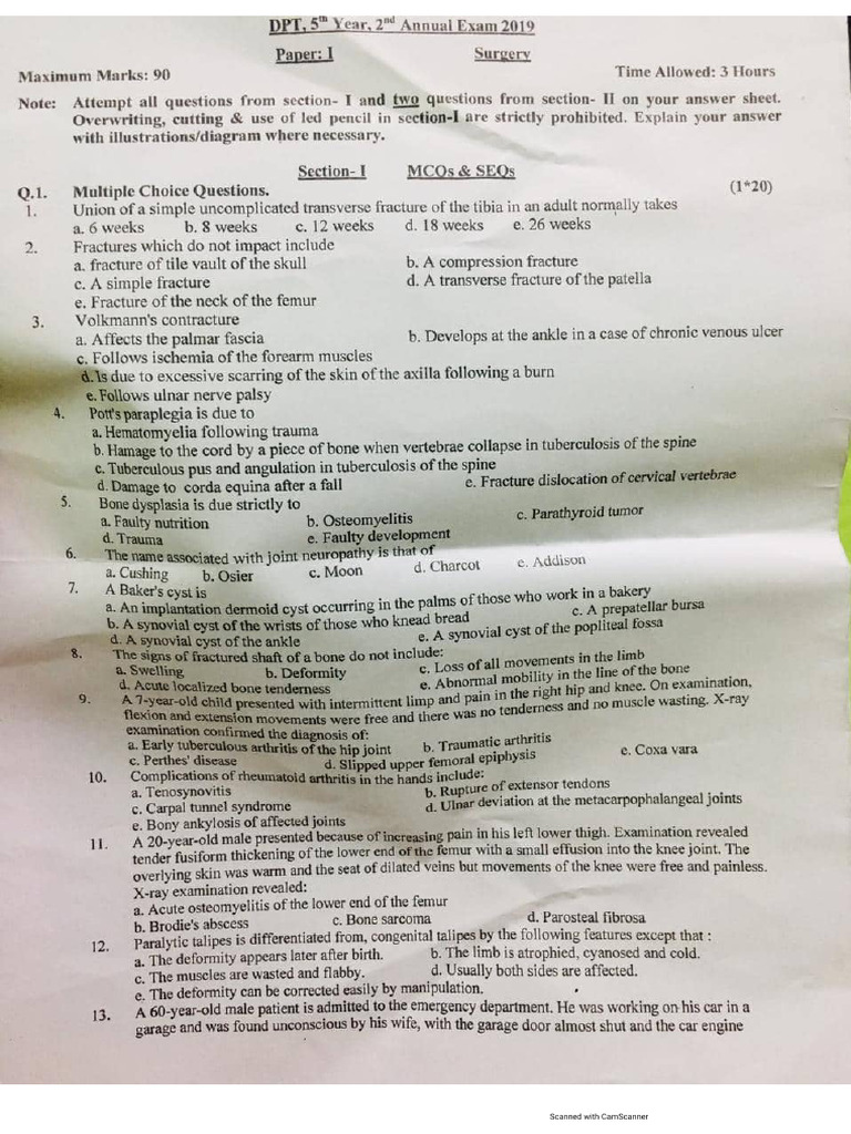 Supplementary Papers | PDF