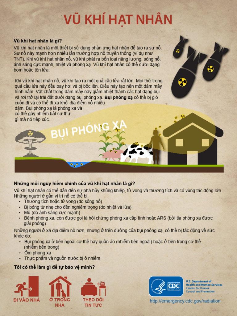 Infographic Nuclear Weapon VI | PDF