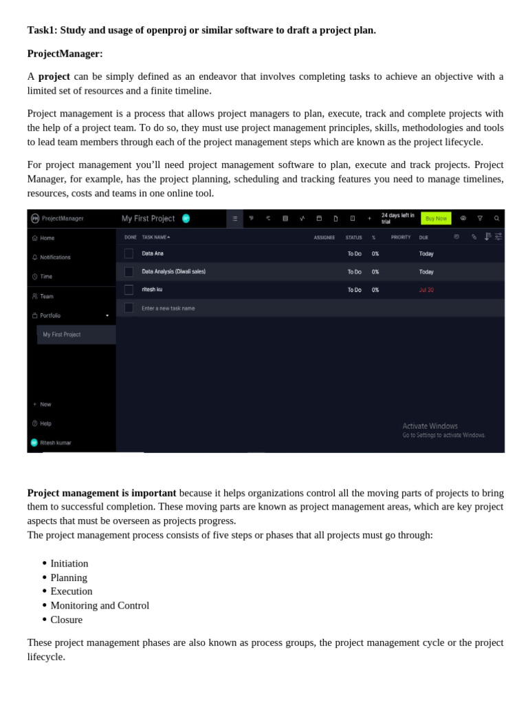 1 ST SE | PDF | Project Management | Business