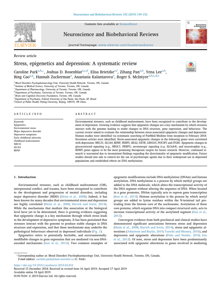 Yr 4 5 | PDF
