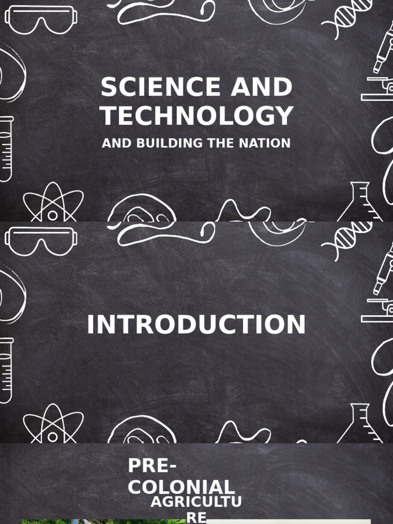 Sts Report Final | PDF