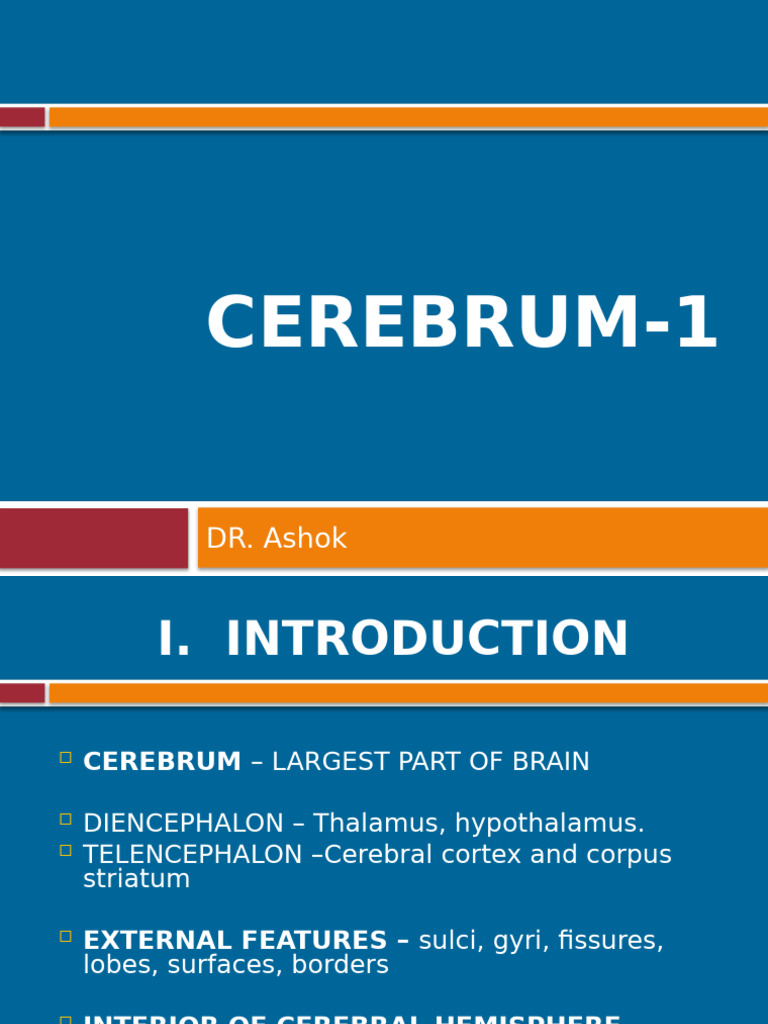 Cerebrum 1 | PDF