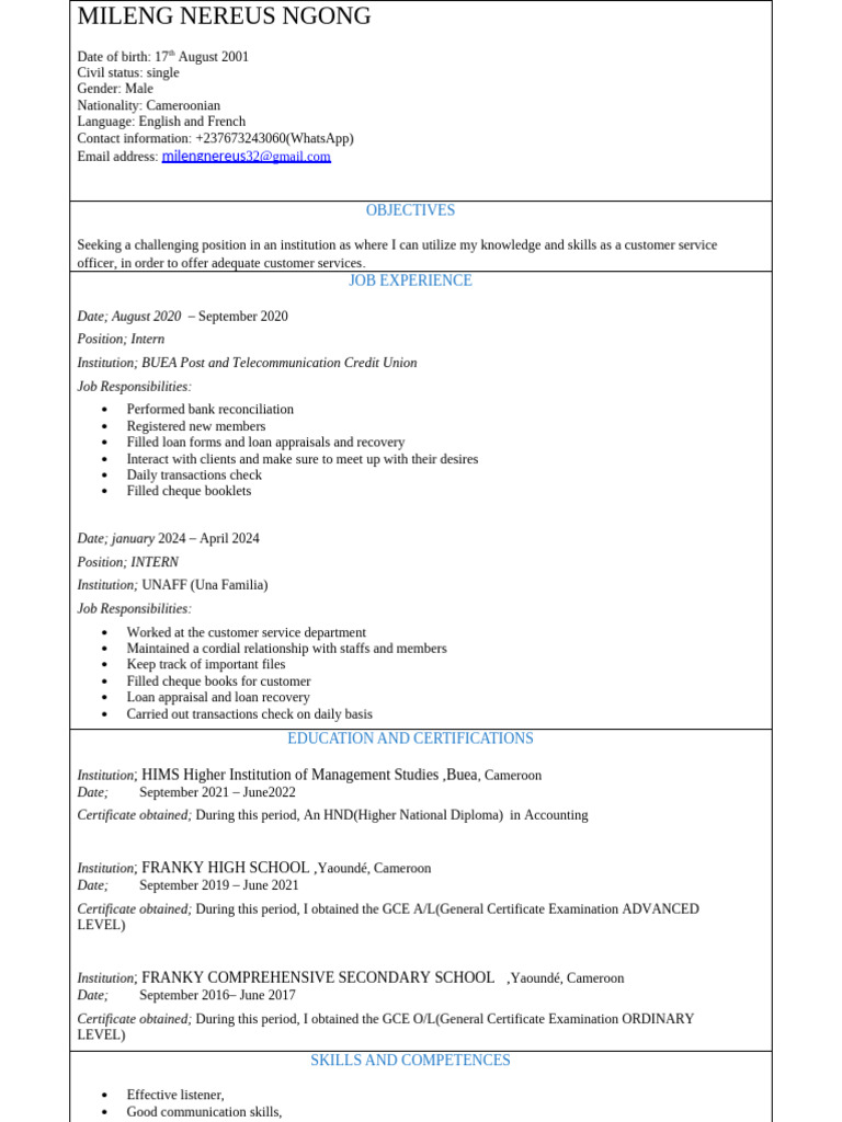 Mileng Nereus CV | PDF