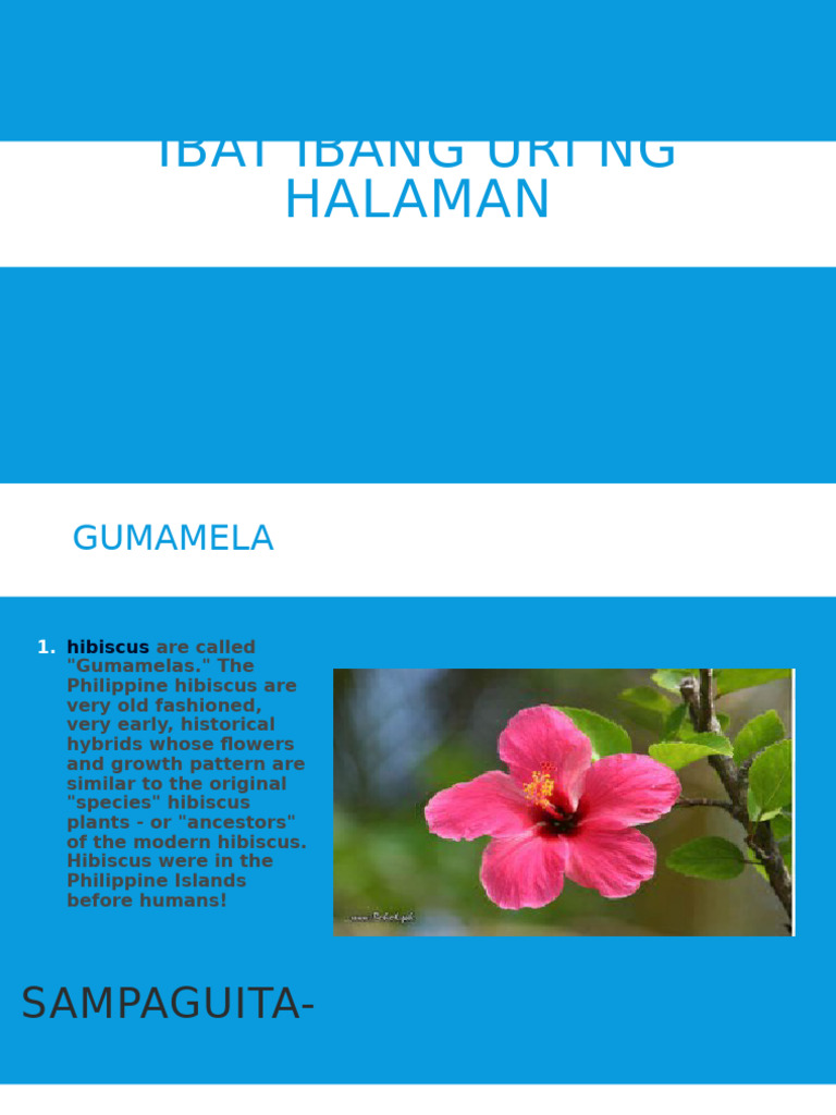 Ibat Ibang Uri NG Halaman | PDF