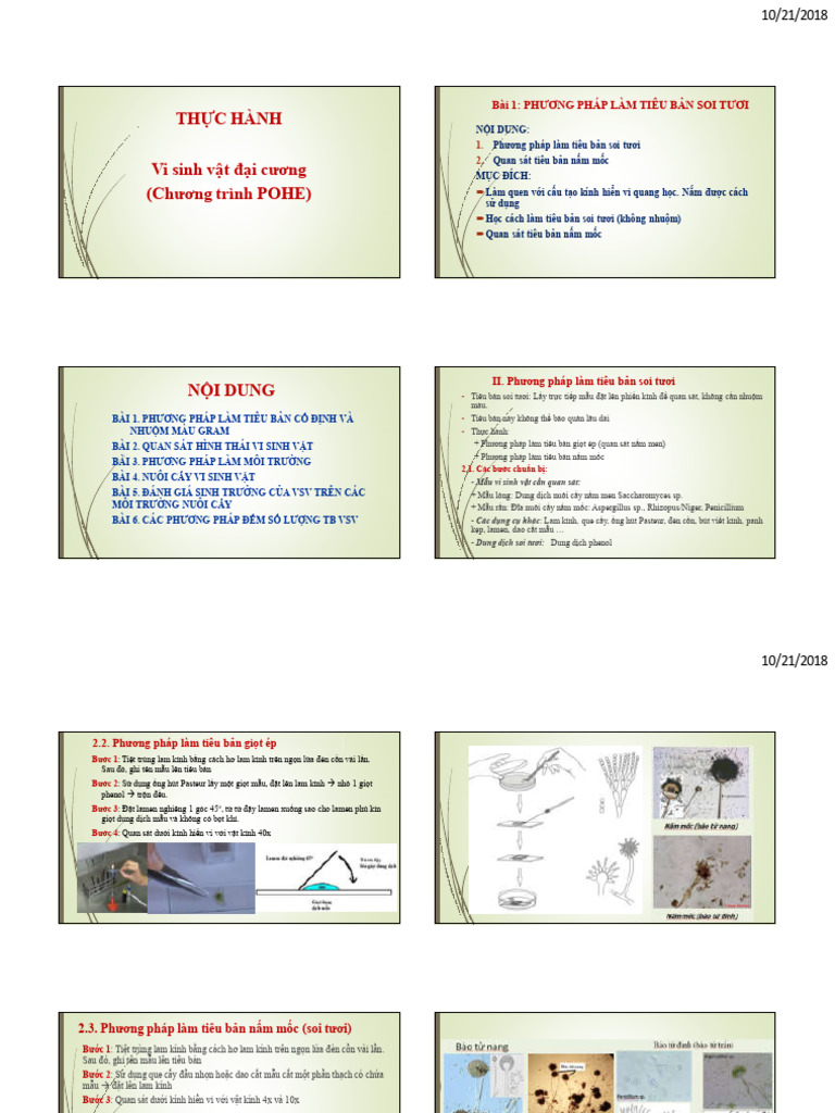 (123doc) - Bai-Giang-Thuc-Hanh-Vi-Sinh-Vat-Dai-Cuong-Chuong-Trinh-Pohe | PDF