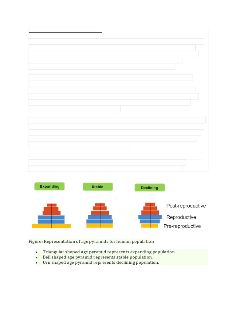 Population Pyramid Pdf