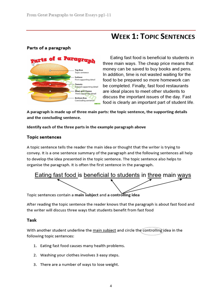 Paragraph Writing Basics | PDF