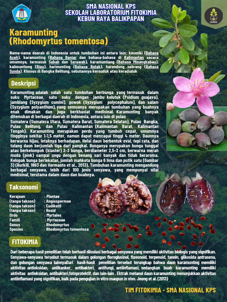 Backdrop Fitomia SMA Nasional KPS | PDF
