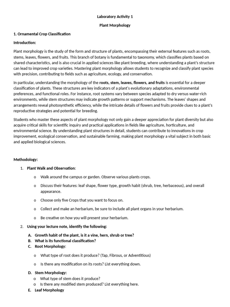 Laboratory Activity 1 | PDF